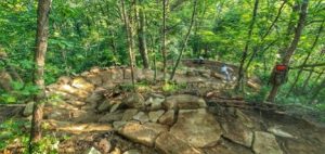 Trail Features - The Dragon Trail