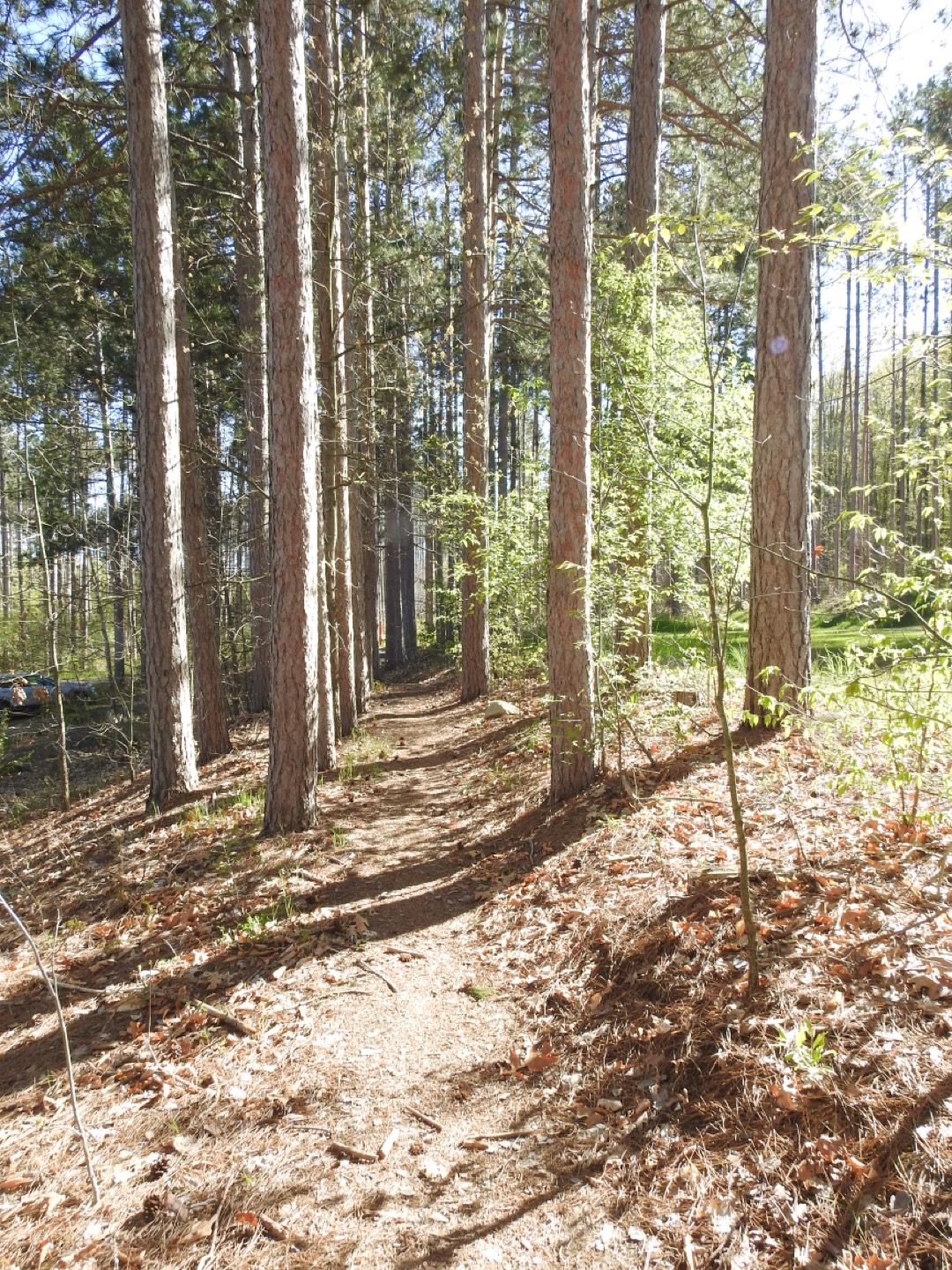 Home - The Dragon Trail