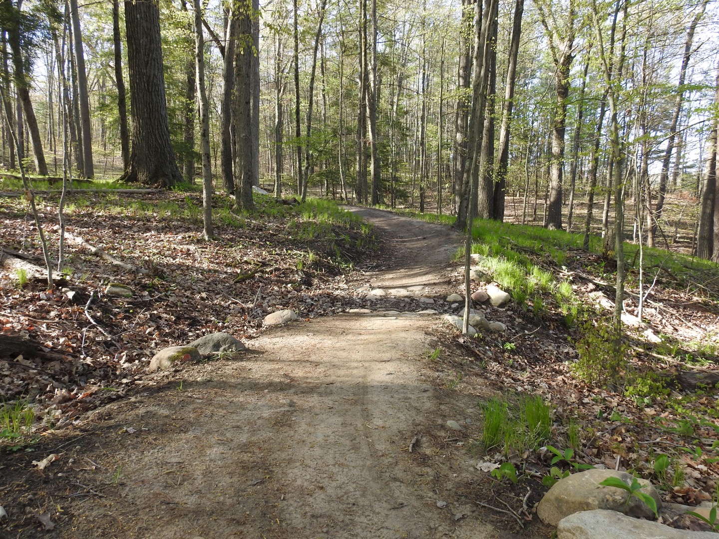 Trail Features - The Dragon Trail