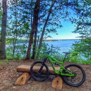 Home - The Dragon Trail